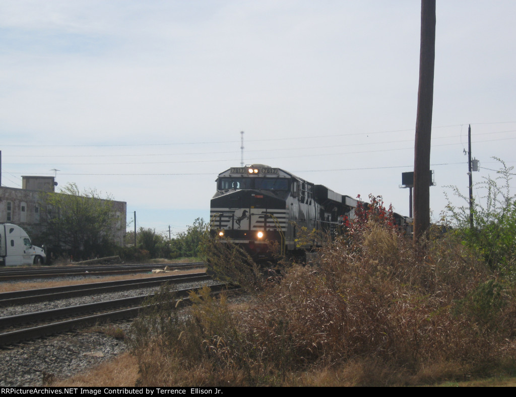 NS 346 10/30/12 Pic 1